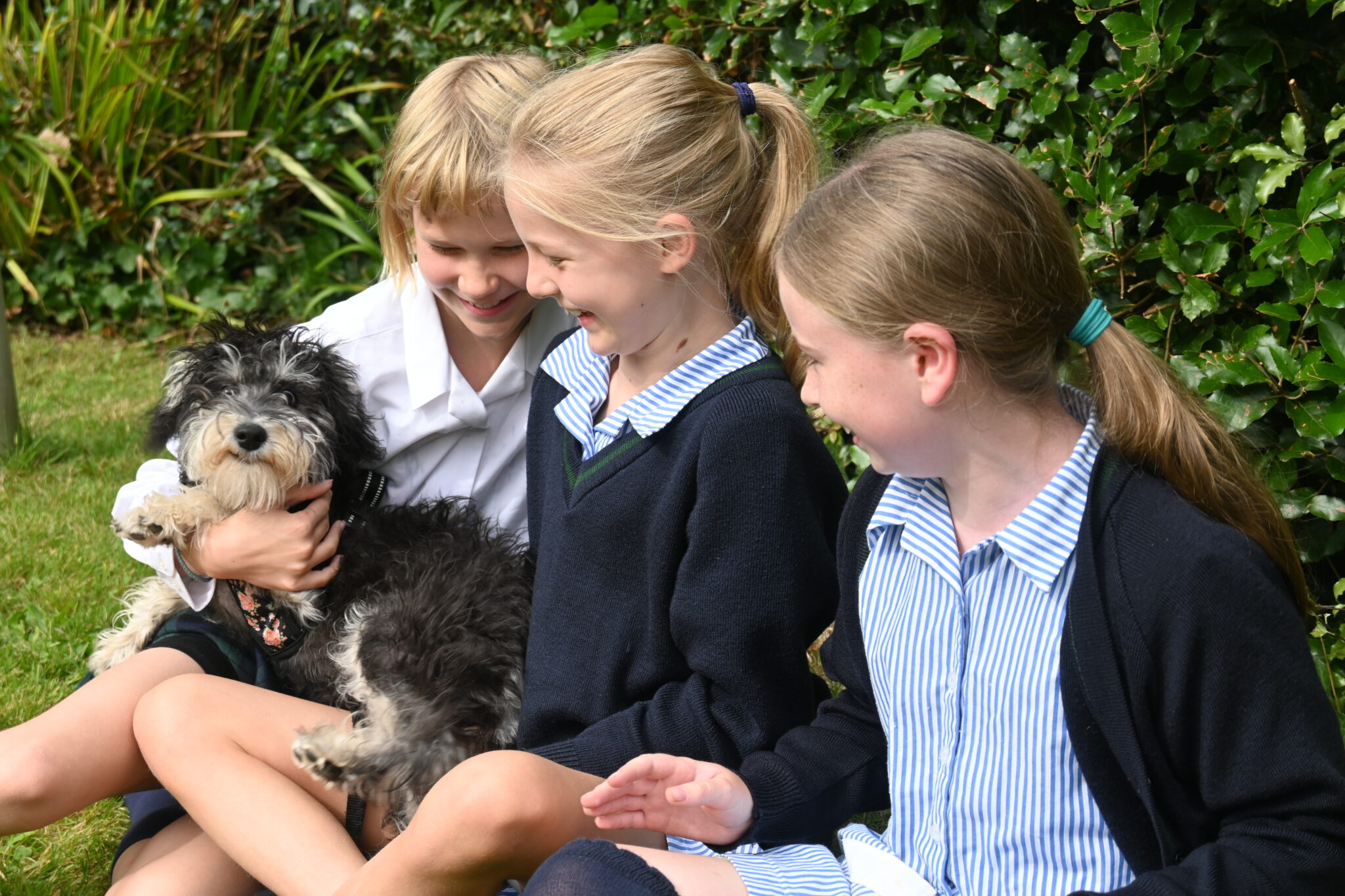 A popular new addition to the Junior School - The Maynard School