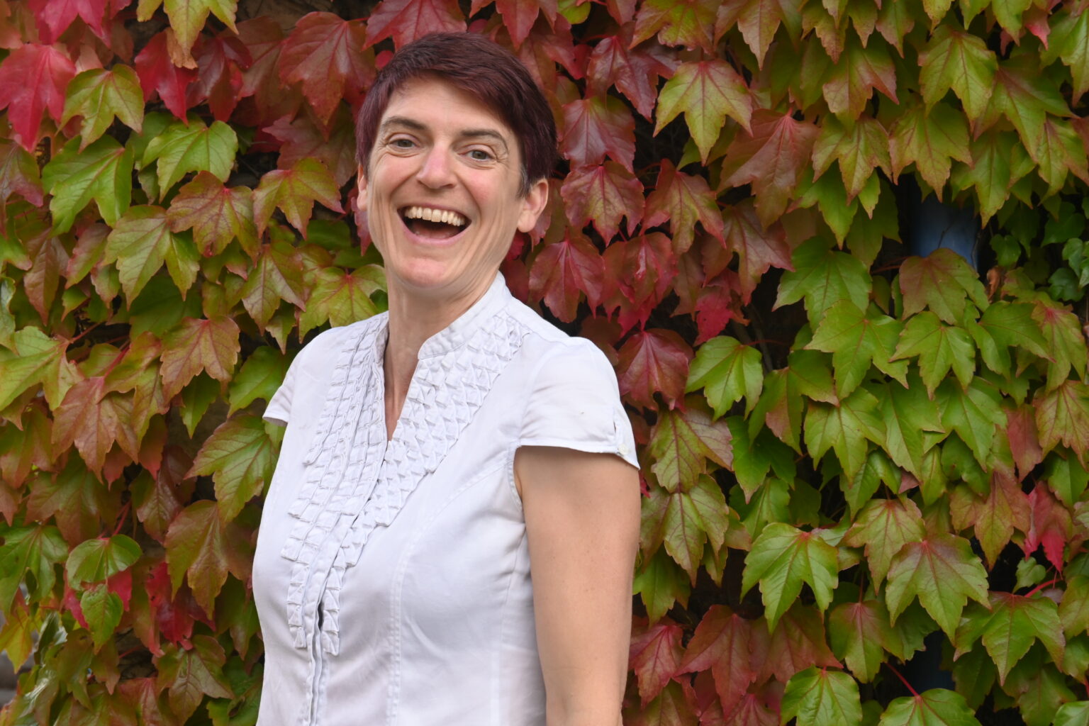 Welcome - The Maynard School