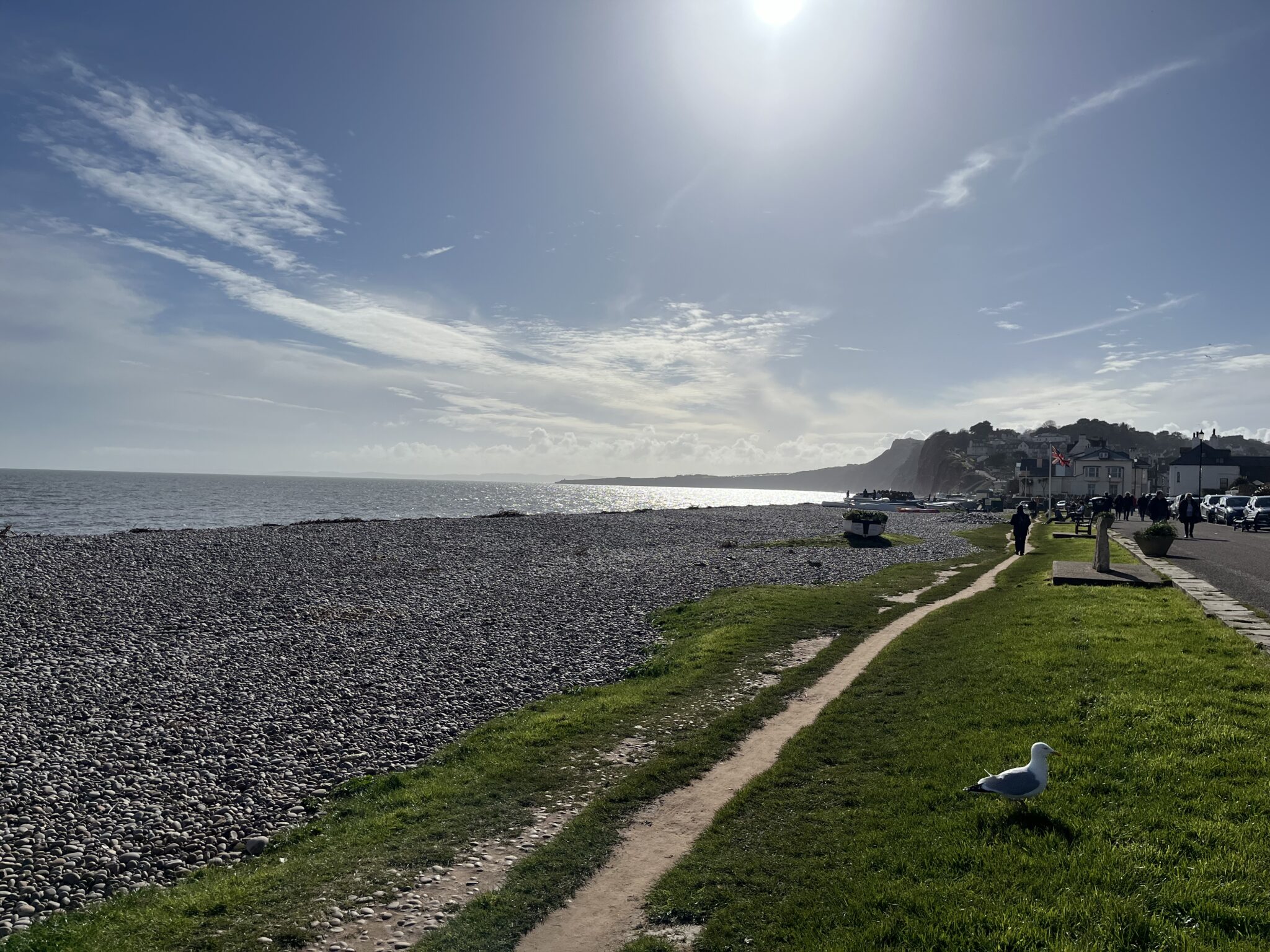 Heavenly Devon... and beyond! - The Maynard School