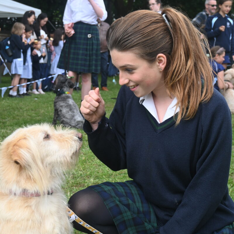 Independent Girls Education in Exeter, Devon | The Maynard School
